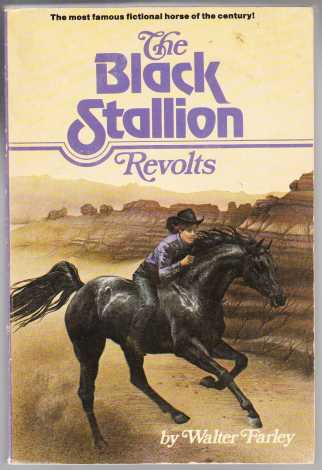 Black Stallion Book