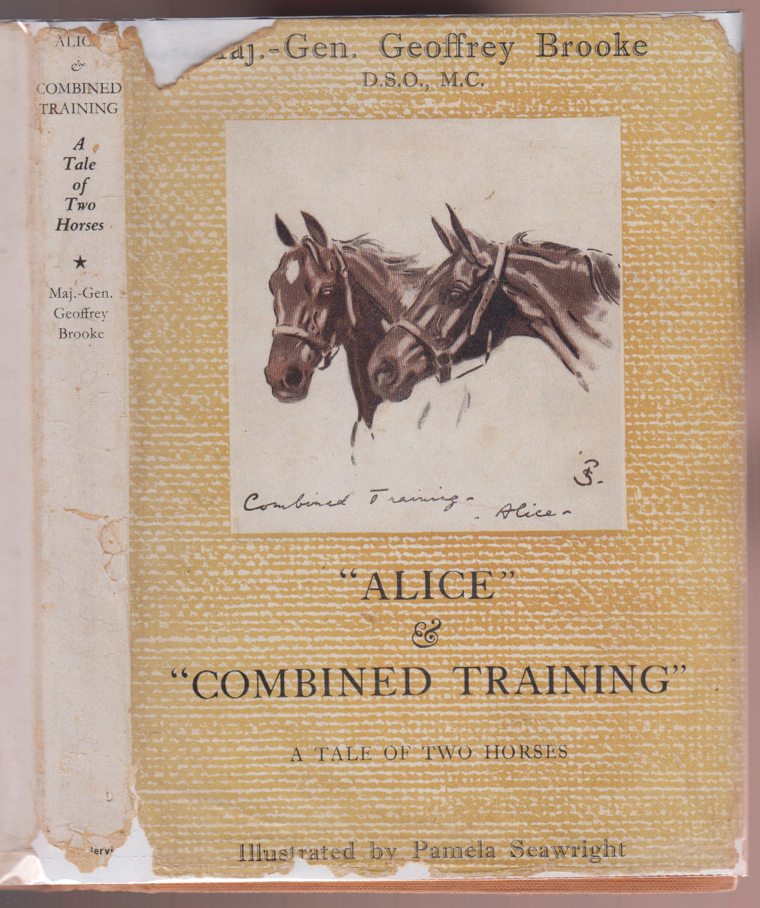 Alice & Combined Training A Tale of Two Horses