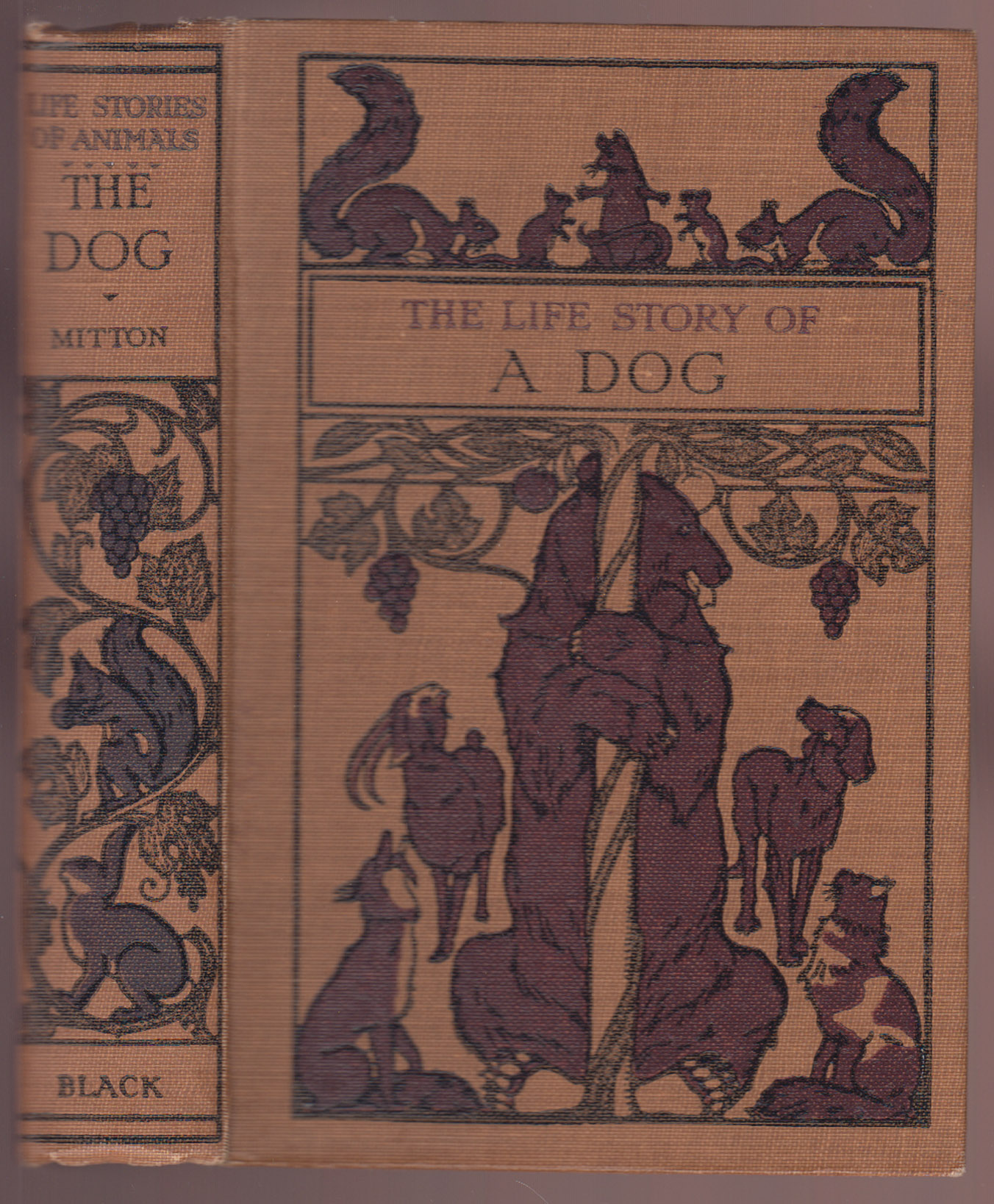 The Life Story of a Dog