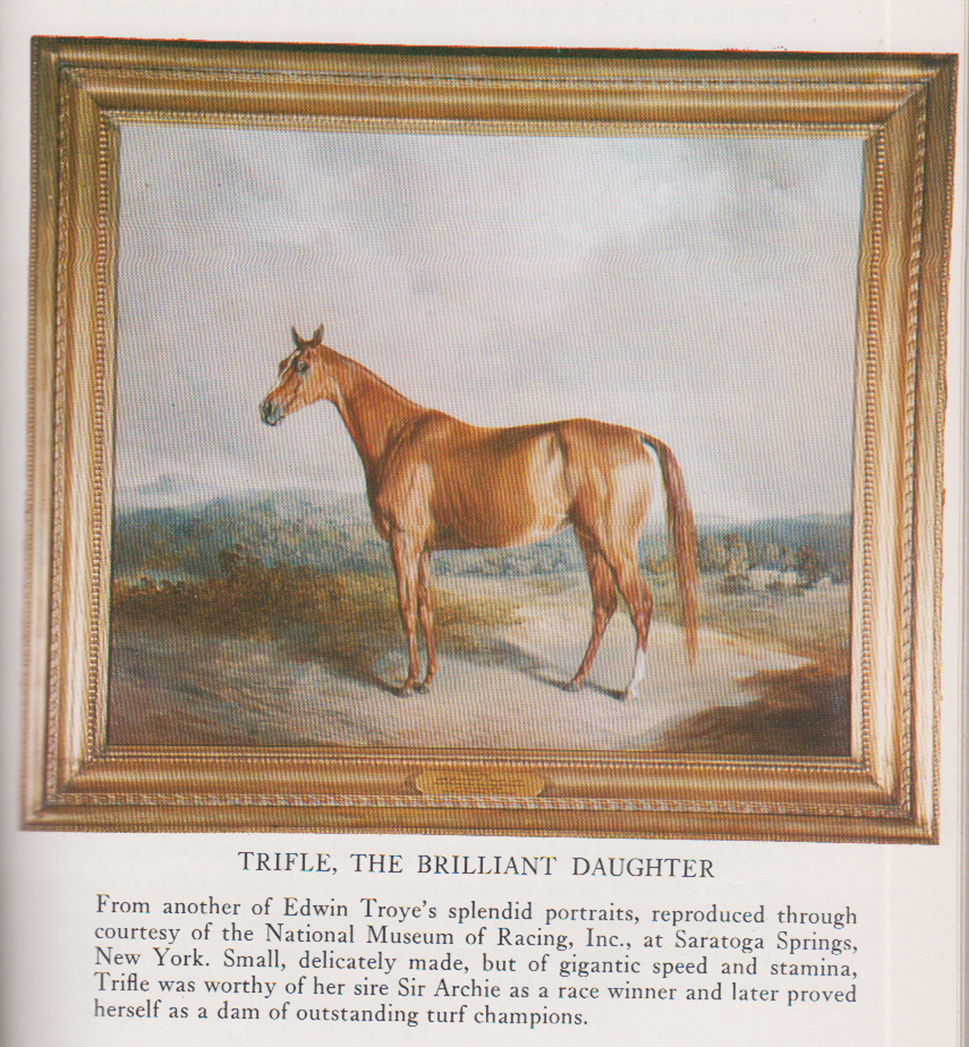 The Life and Times of Sir Archie 1805-1833 The Story of America's ...
