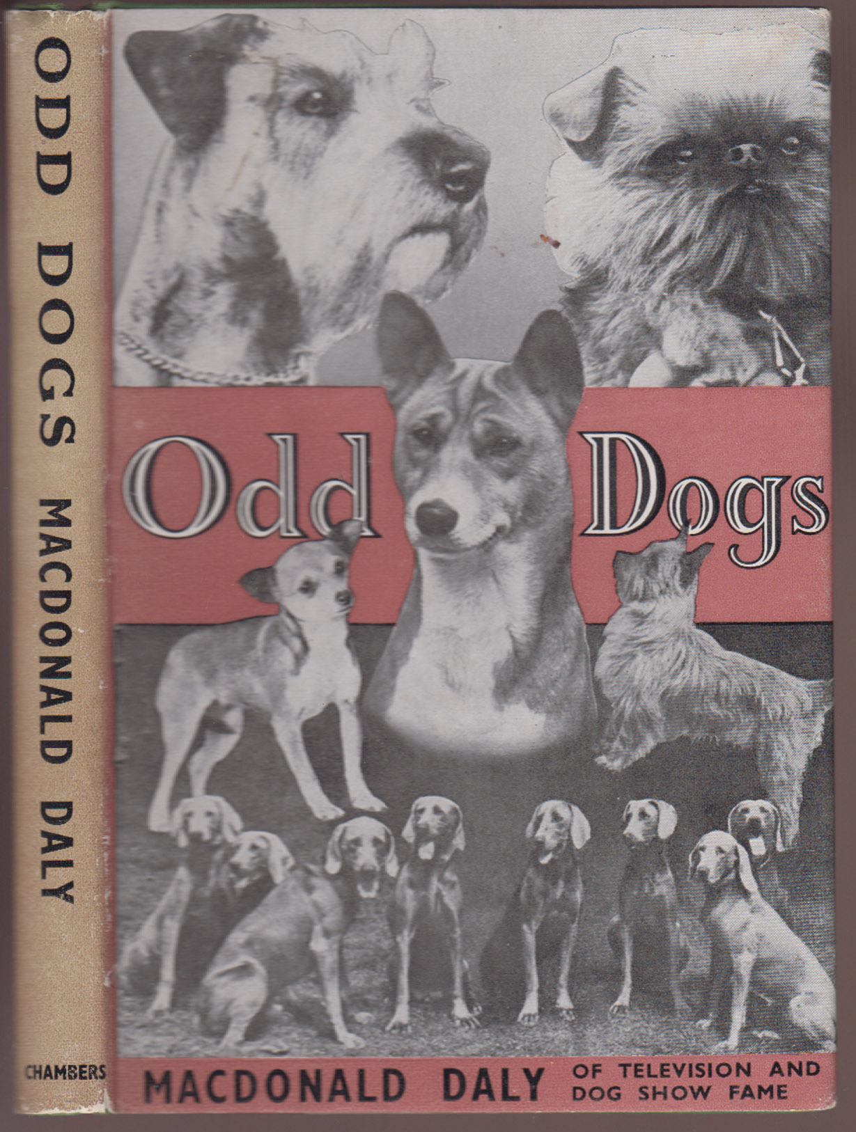 Category: DOGS