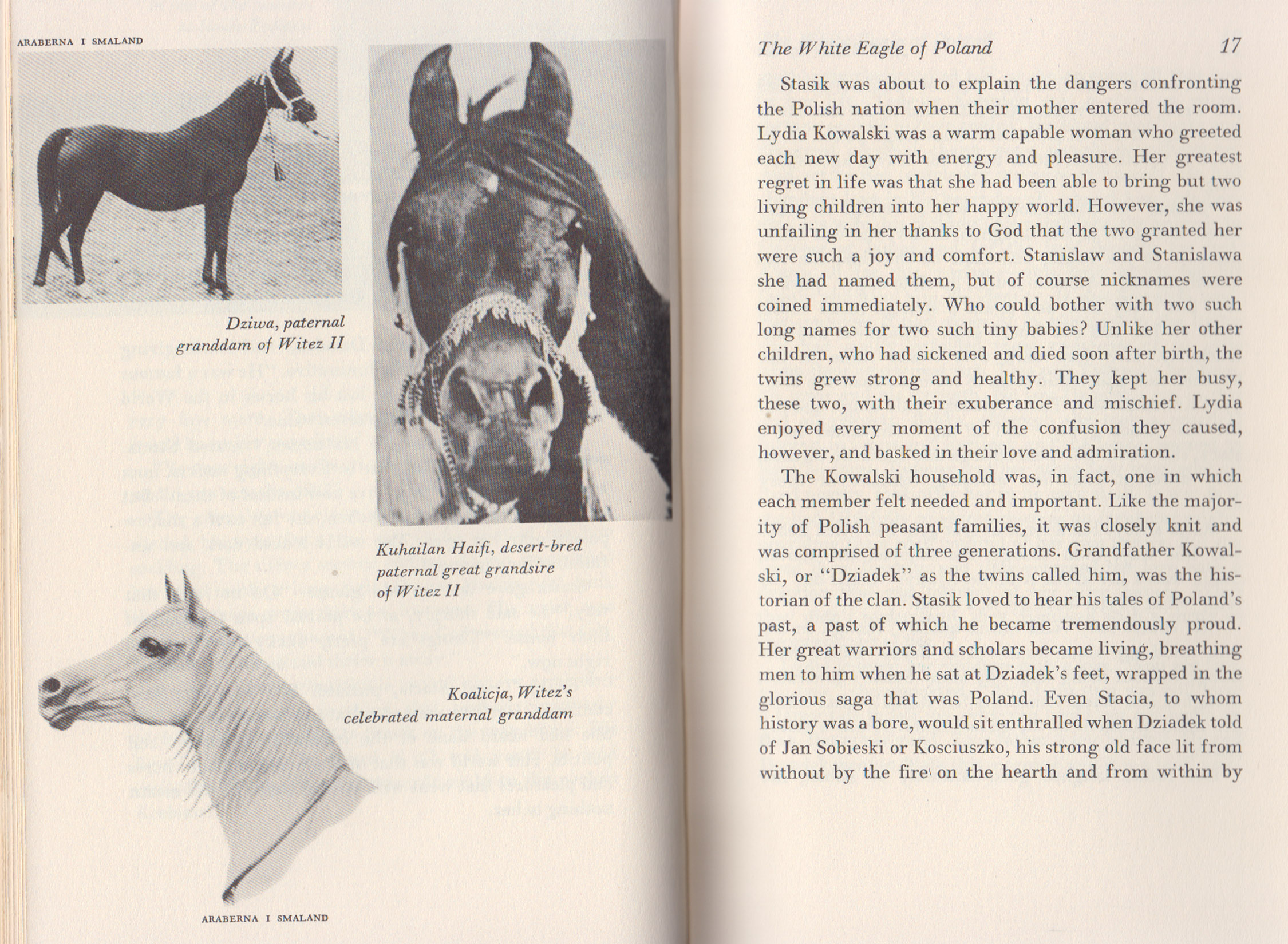And Miles to Go: The Biography of a Great Arabian Horse, Witez II