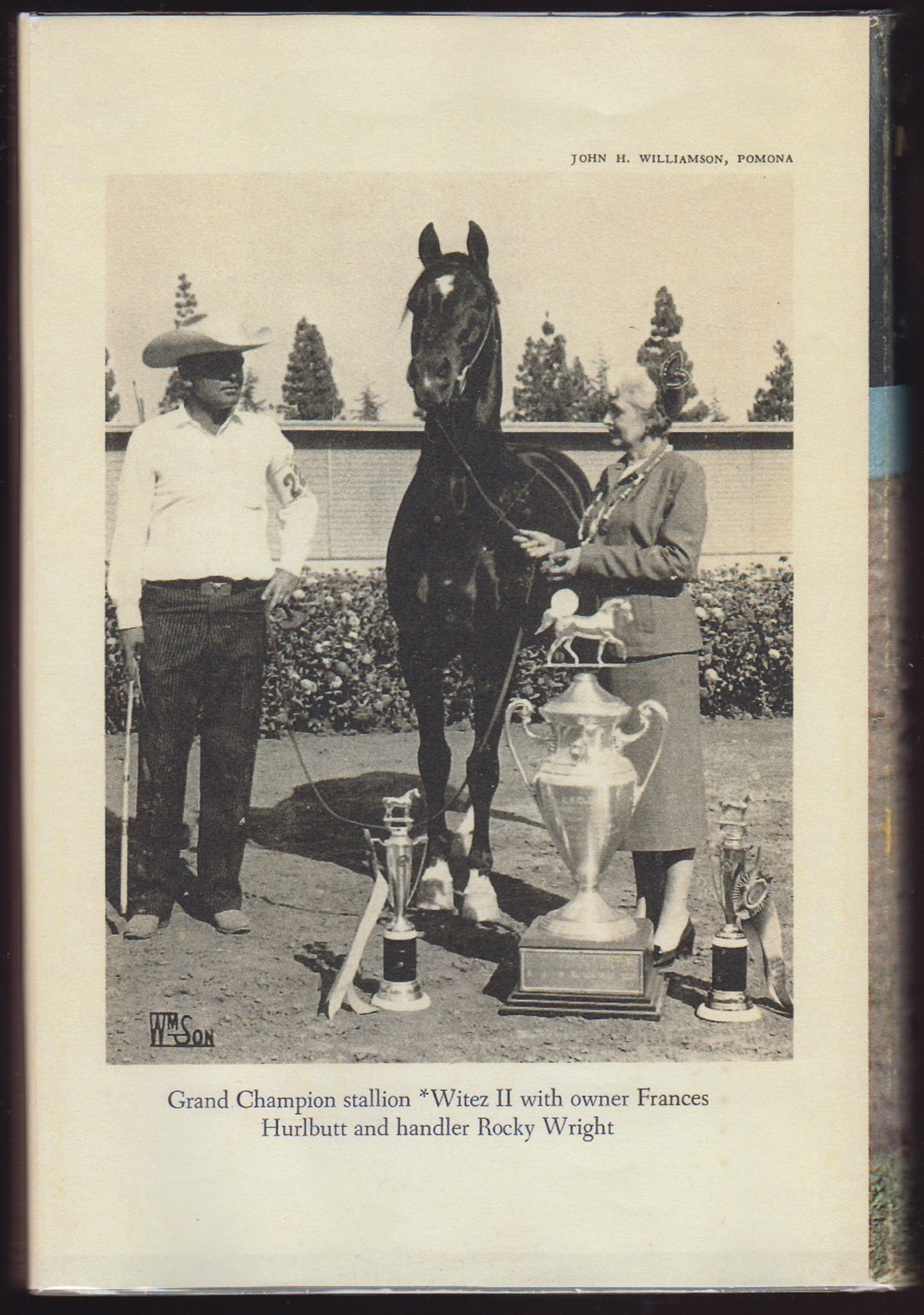And Miles to Go: The Biography of a Great Arabian Horse, Witez II