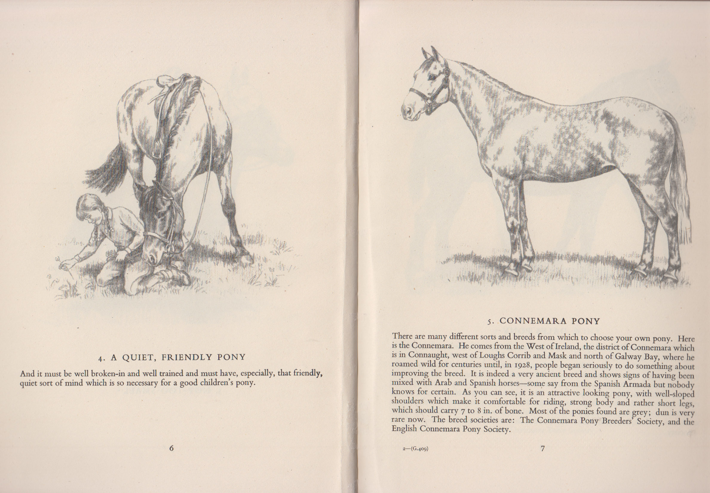 Ponies and Riding in Pictures