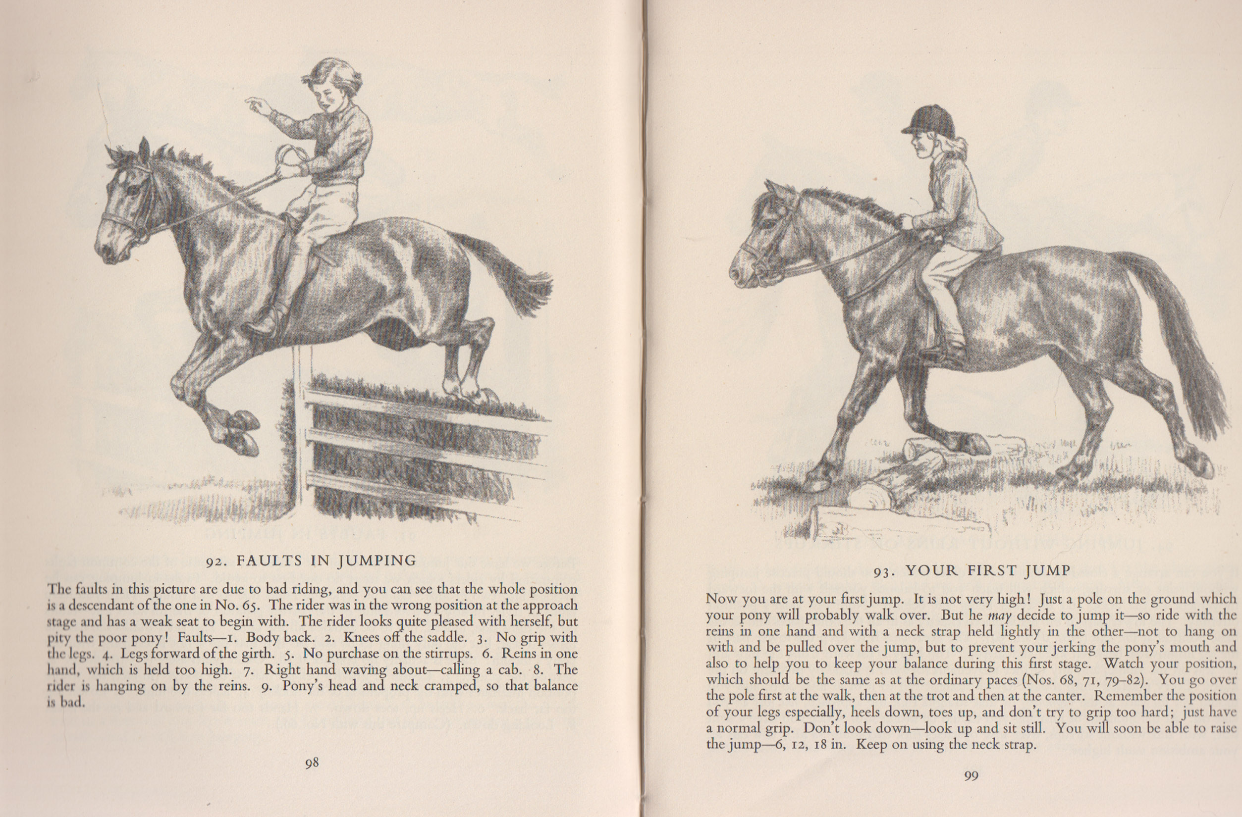Ponies and Riding in Pictures