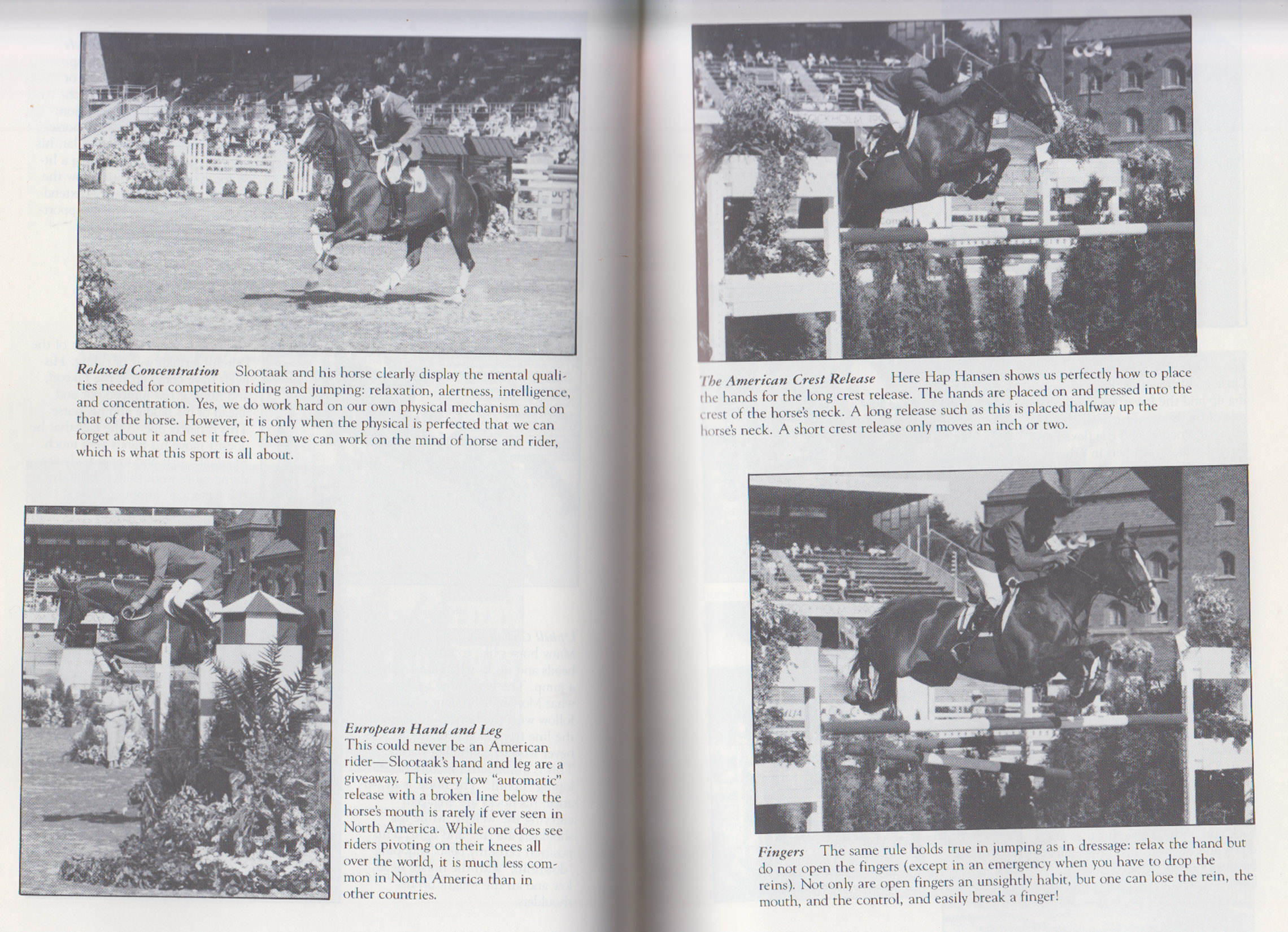 The American Jumping Style. Classic Techniques of Successful ...