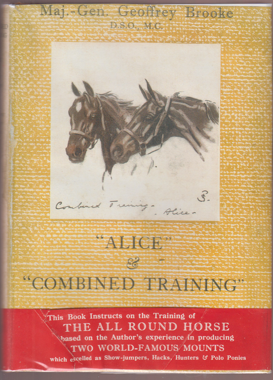 The Tale of Two Horses