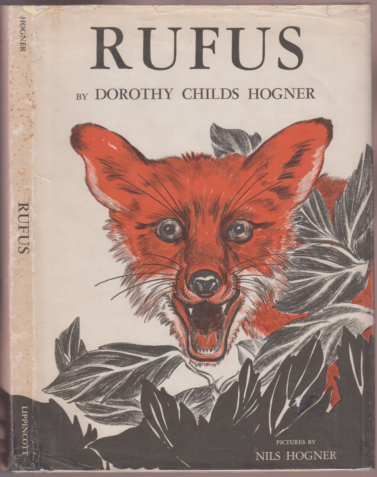 Category: FOXES: FACT & FICTION