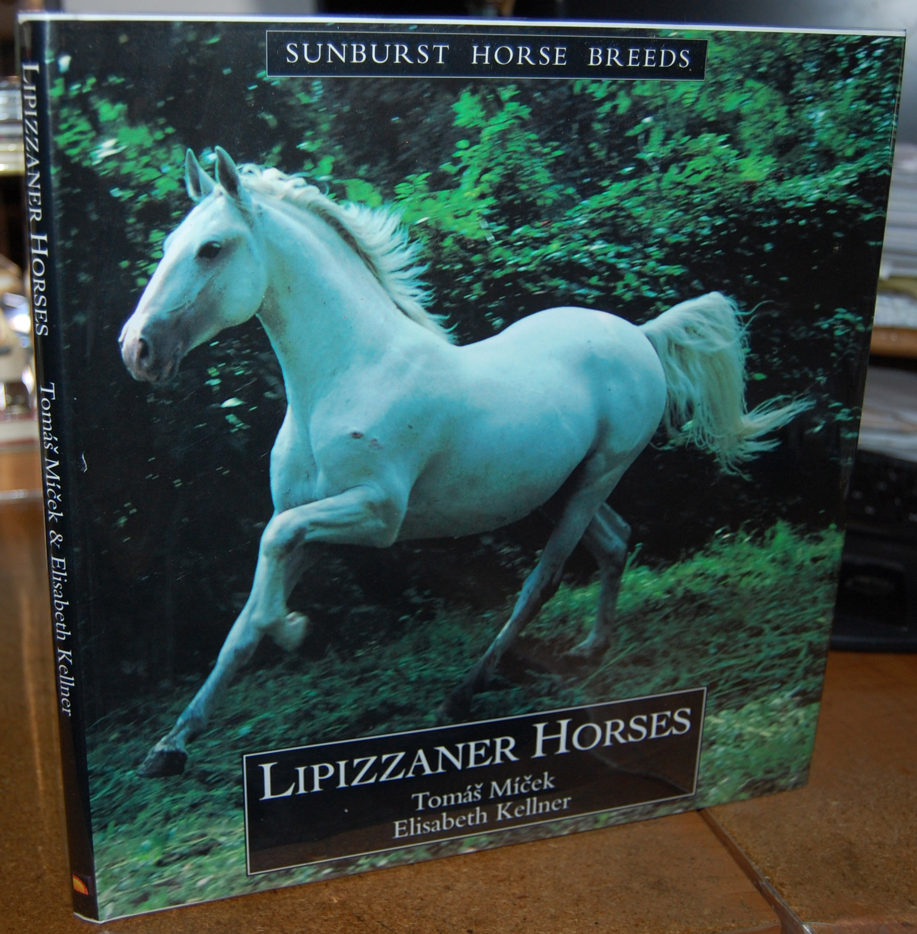 Horse Breeds Spotted Horse Breeds Horse Illustrated