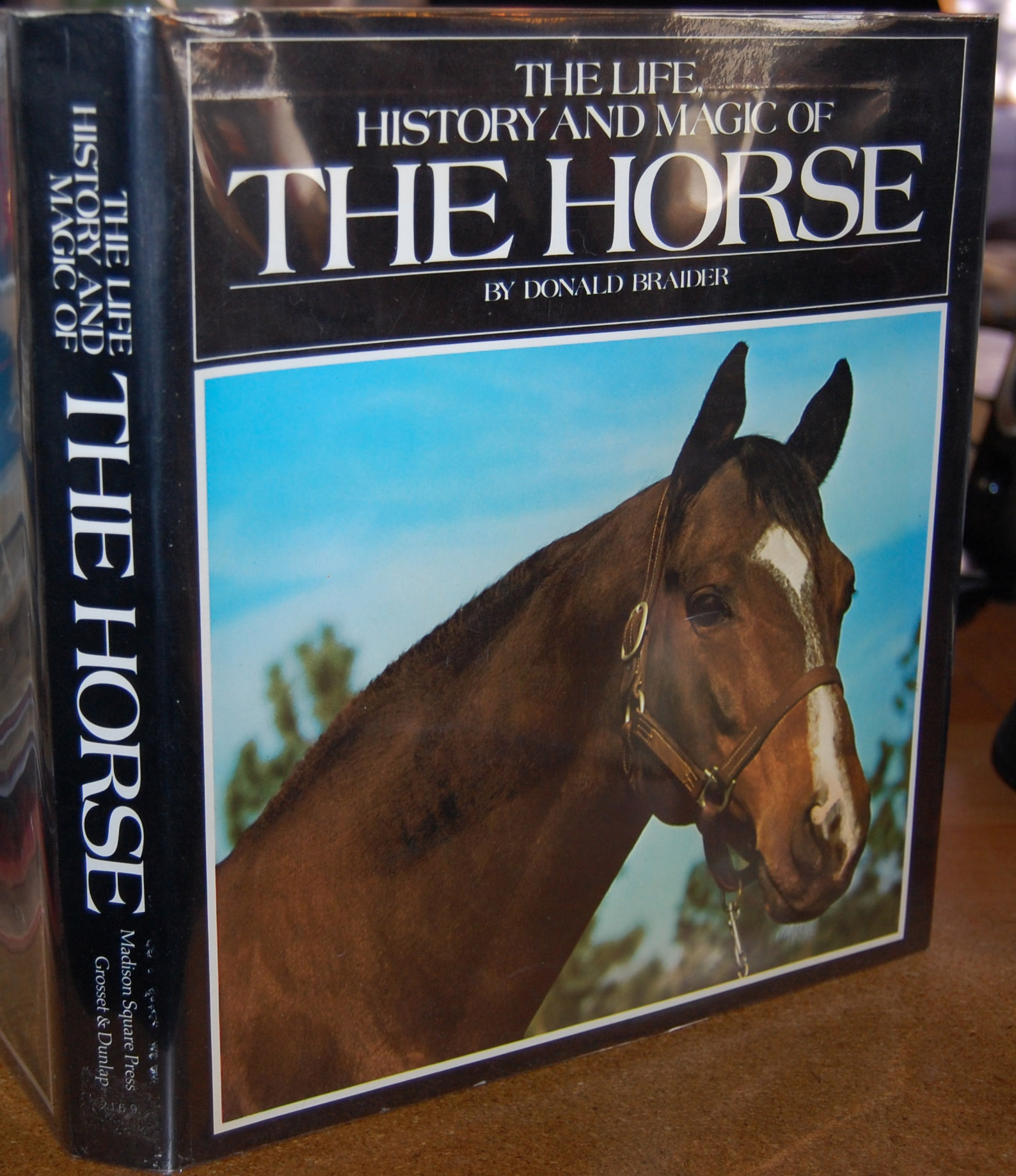 The Horse in Art and History